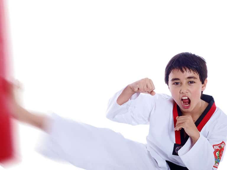 7 Best Taekwondo Kicking Bags for Kids: Durable, Safe, and Perfect for ...