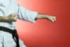 WTF TaeKwonDo Black Belt Form One - Koryo - Tae Kwon Do Nation